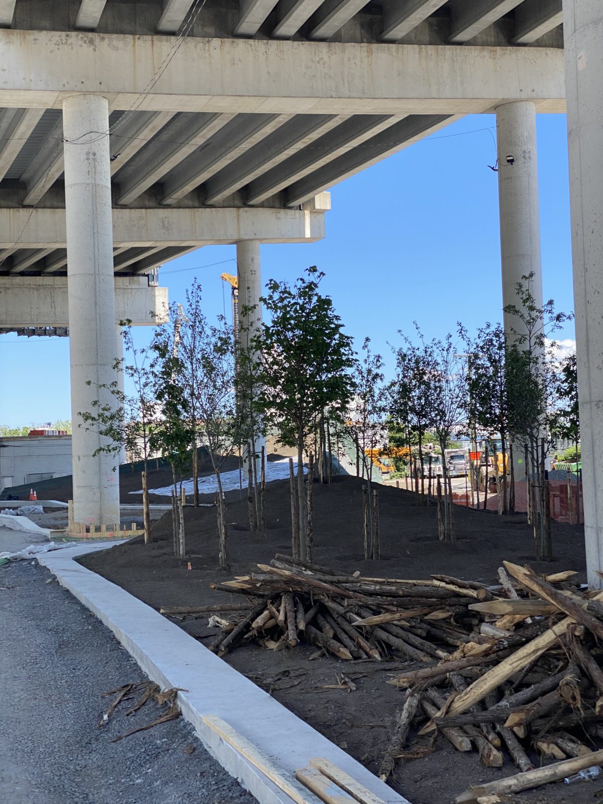 Photos: Lentol gives opening date for Under the K Bridge Park