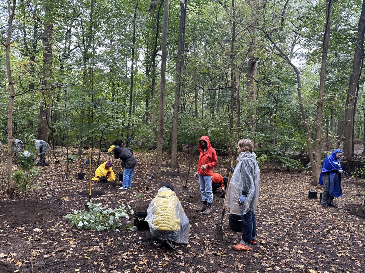 Second annual City of Forest Day bigger and better