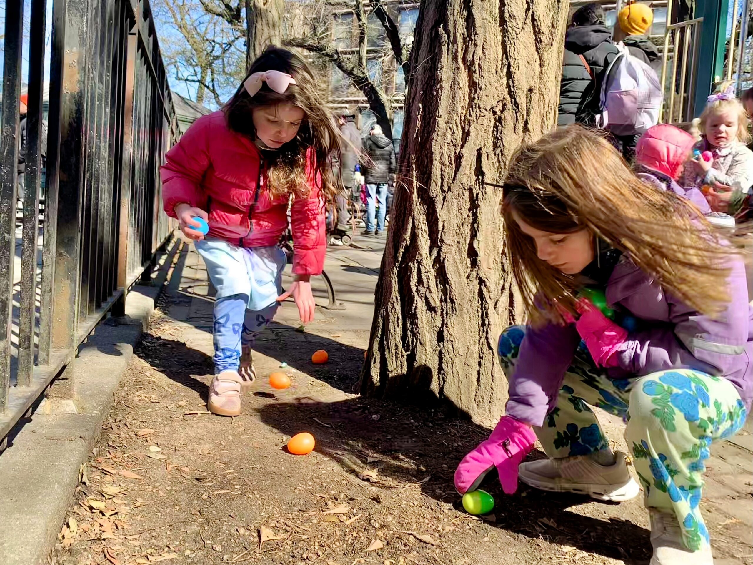 Hundreds of kids scramble for eggs in Brooklyn Heights